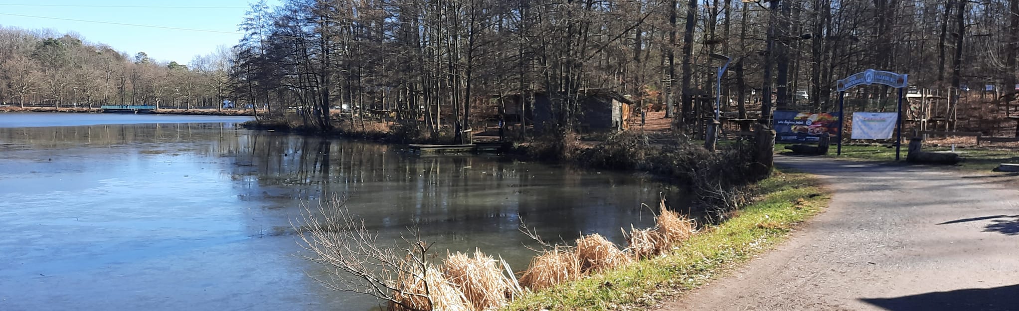 Bexbach Forest: 7 Reviews, Map - Saarland, Germany | AllTrails