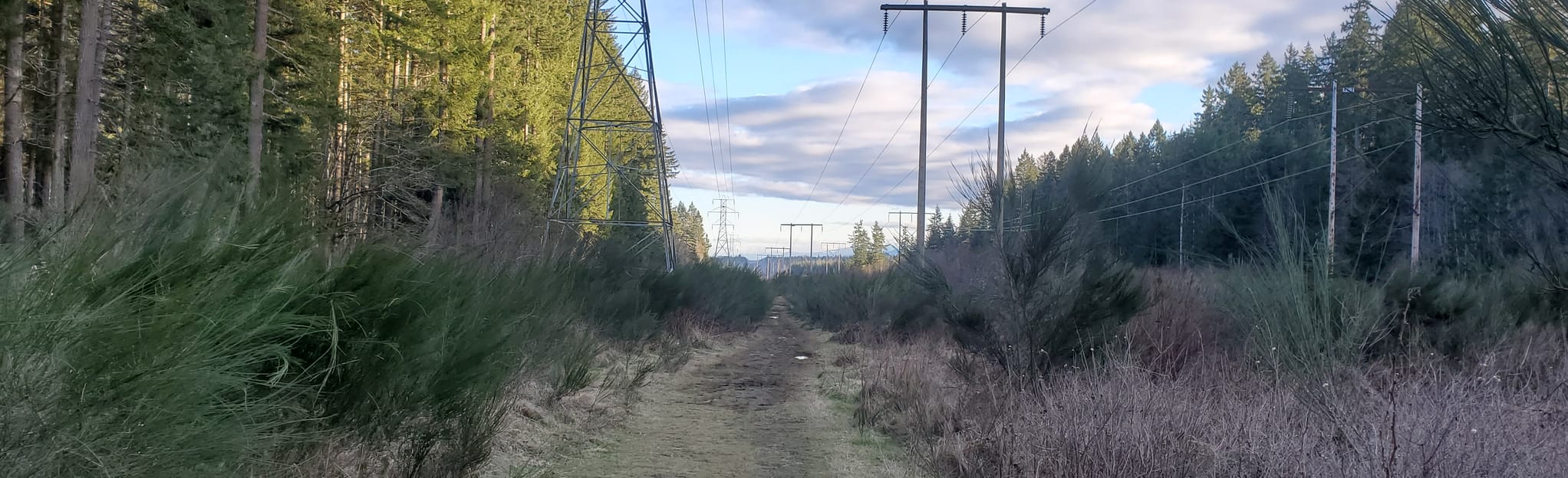 Wildwood Interpretive Pipeline Trail: 8 Reviews, Map - British Columbia ...