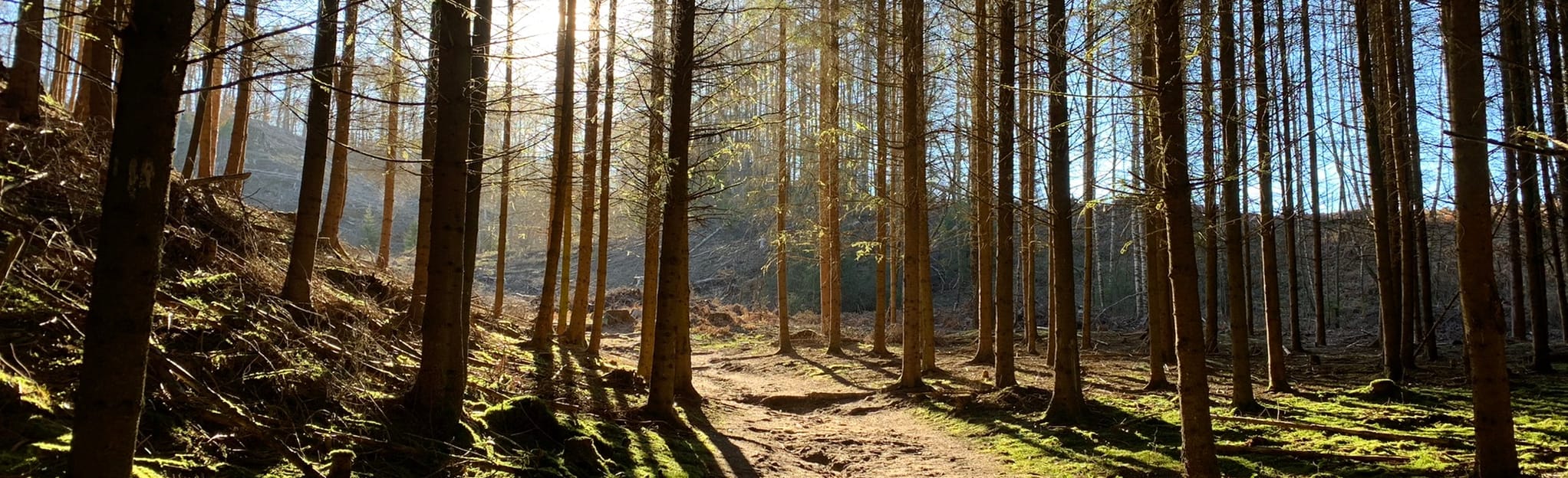 Brouch Loop: 26 Reviews, Map - Mersch, Luxembourg | AllTrails