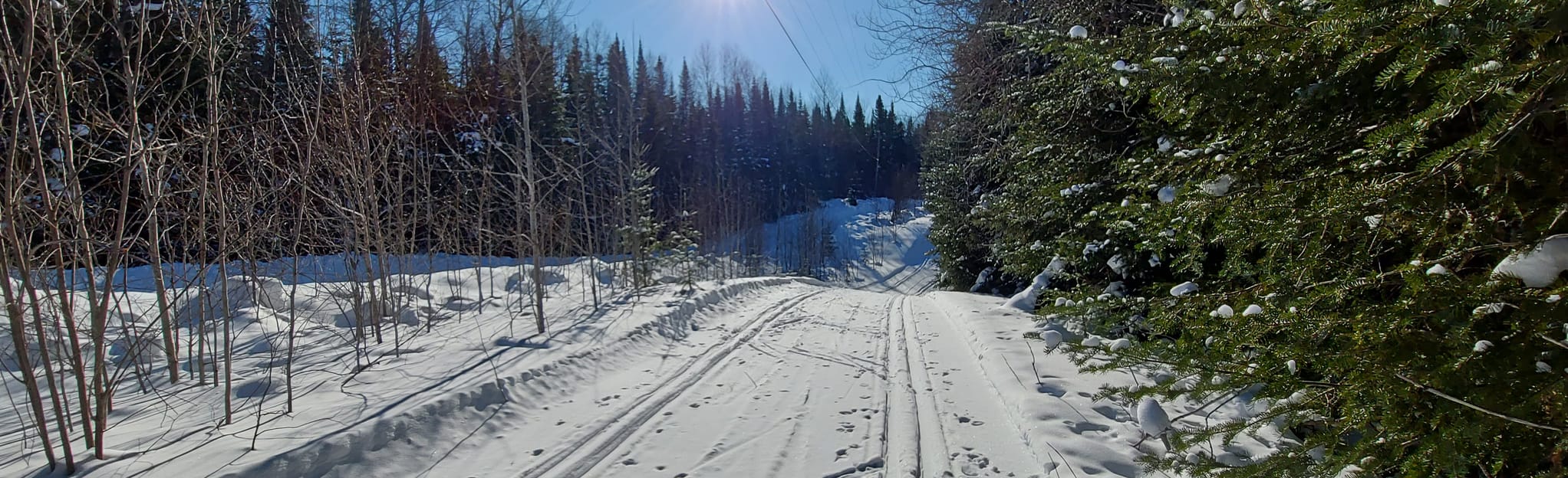 Matagami Channel Loop, Quebec, Canada - Map, Guide | AllTrails