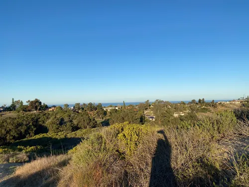 Best Wild Flowers Trails in Encinitas | AllTrails