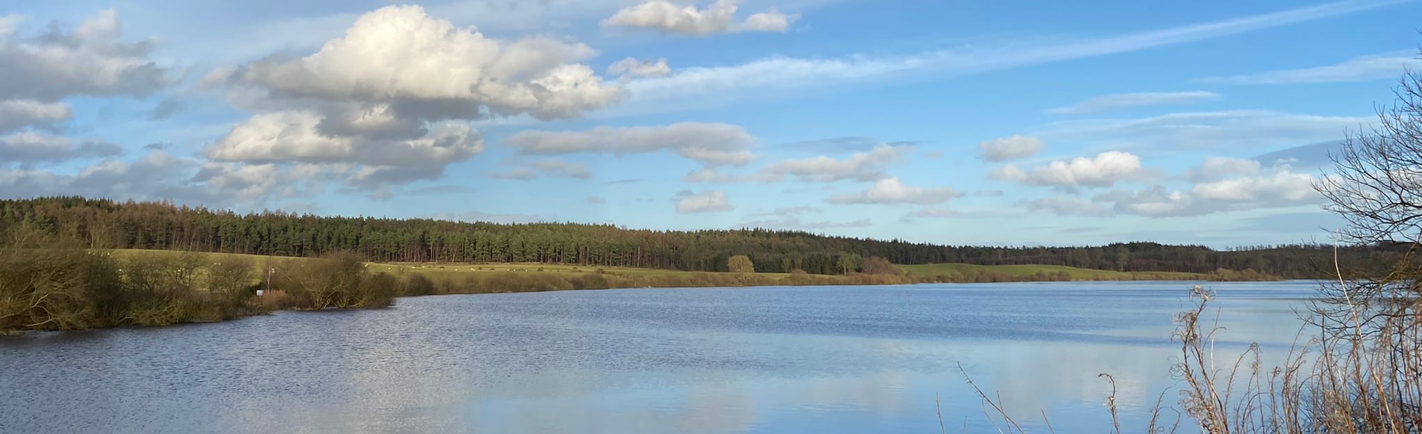 Peppermill Dam Circular Walk: 24 Reviews, 67 Photos, Map ...