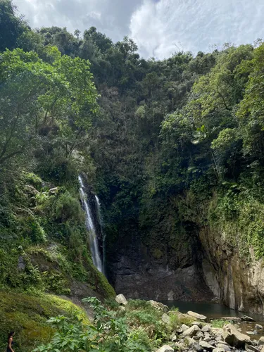10 Best Waterfall Trails in Puerto Rico | AllTrails