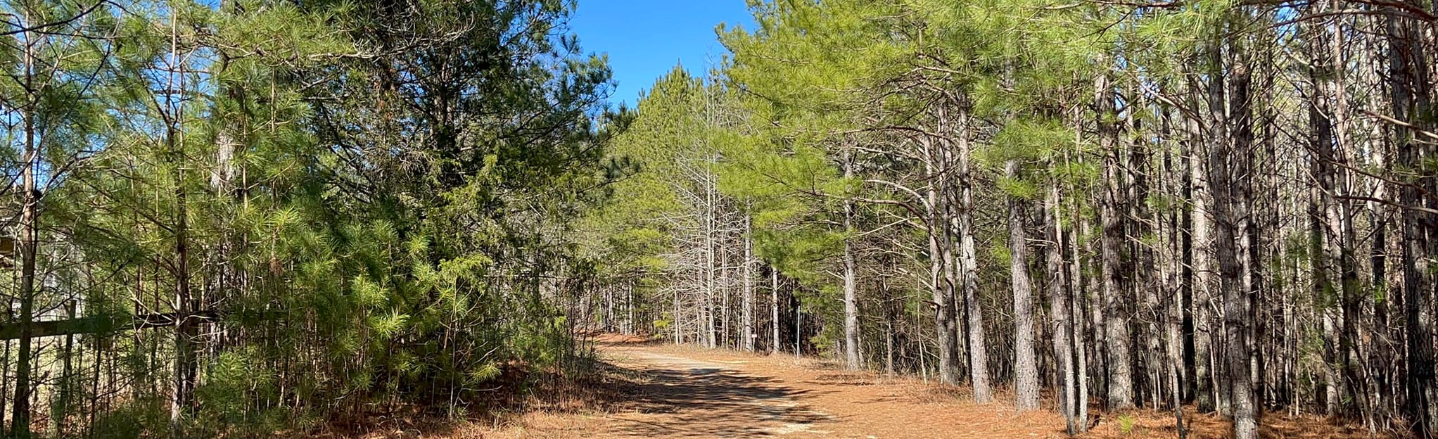 Birmingham Park Loop: 375 Reviews, Map - Georgia | AllTrails
