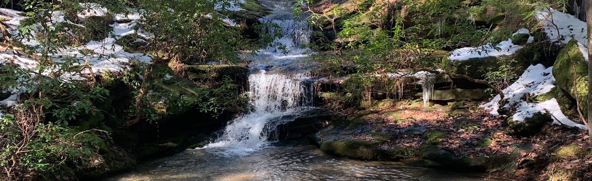 Casper Creek Falls | Map, Guide - Alabama | AllTrails