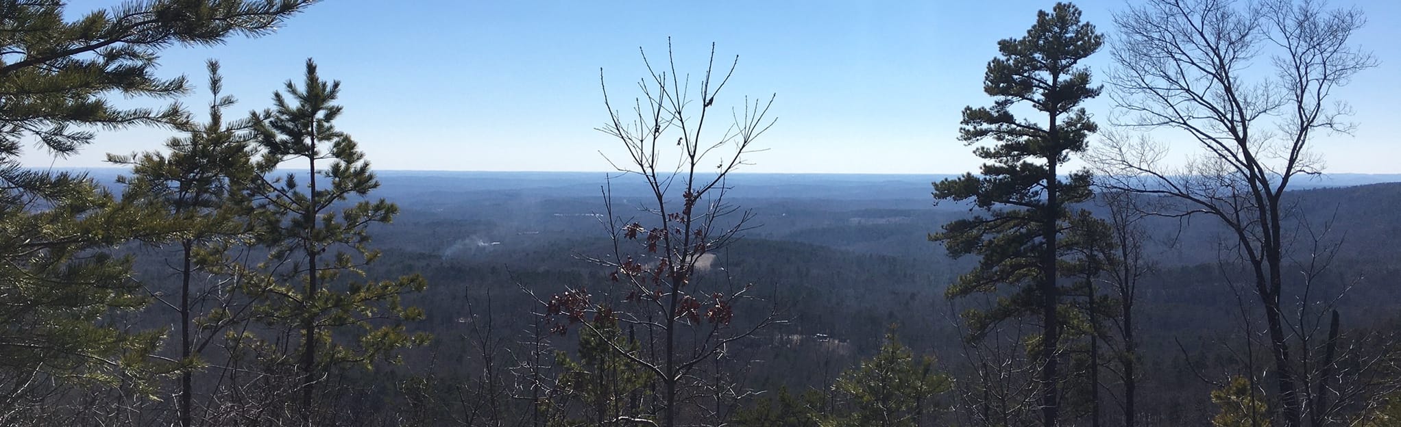 Buzzard Roost Mountain, South Carolina - 7 Reviews, Map | AllTrails