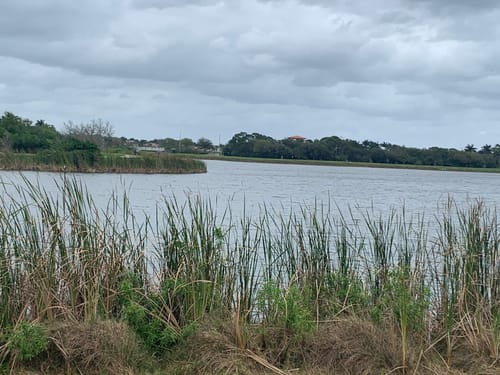 Best Hikes and Trails in Spanish River Athletic Park | AllTrails