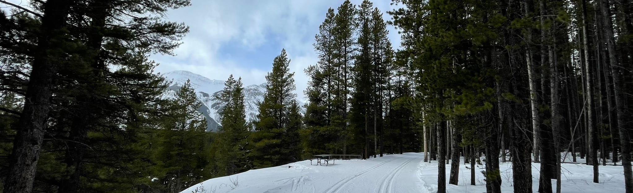 Wheeler Trail, Alberta, Canada - 32 Reviews, Map | AllTrails