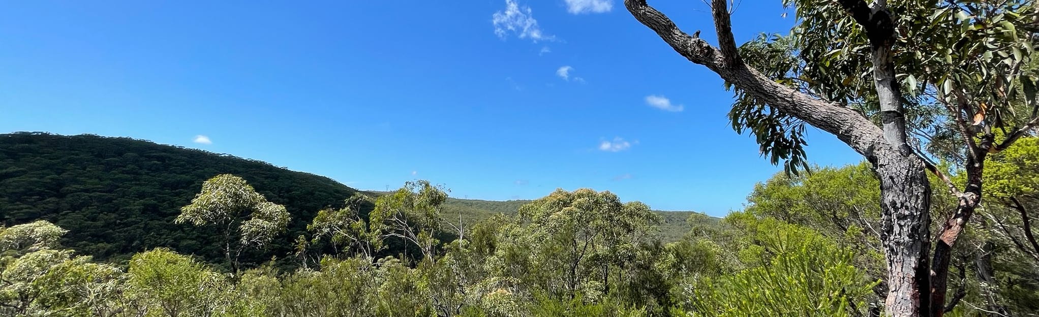 Miara to Myuna Pool via Bullawarring Track: 5 Reviews, Map - New South ...