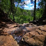 Highfields Falls Trail, Queensland, Australia - 29 Reviews, Map | AllTrails