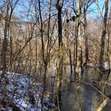 Willis River Trail, Virginia - 34 Reviews, Map | AllTrails