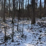 Willis River Trail, Virginia - 34 Reviews, Map | AllTrails