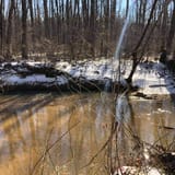 Willis River Trail, Virginia - 34 Reviews, Map | AllTrails