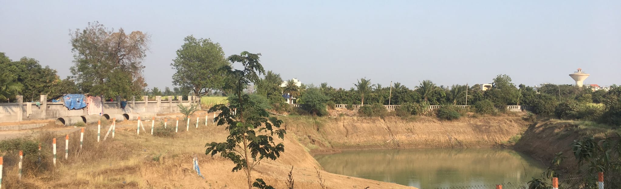 Bardoli Farm Ride | Map, Guide - Gujarat, India | AllTrails