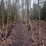 Rowney Warren Forest Circular, Bedfordshire, England - 162 Reviews, Map ...