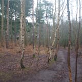 Rowney Warren Forest Circular, Bedfordshire, England - 162 Reviews, Map ...