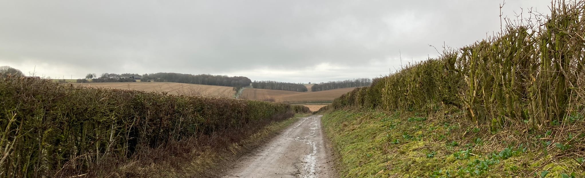 East Ilsely and Beedon Circular - Berkshire, England | AllTrails