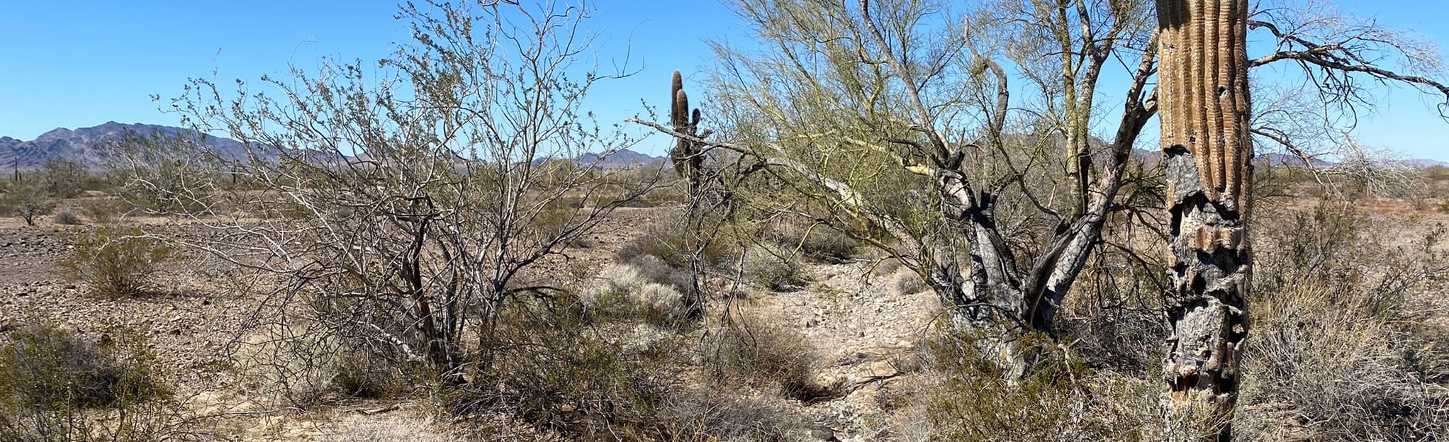 Magic Circle Loop: 31 Reviews, Map - Arizona | AllTrails