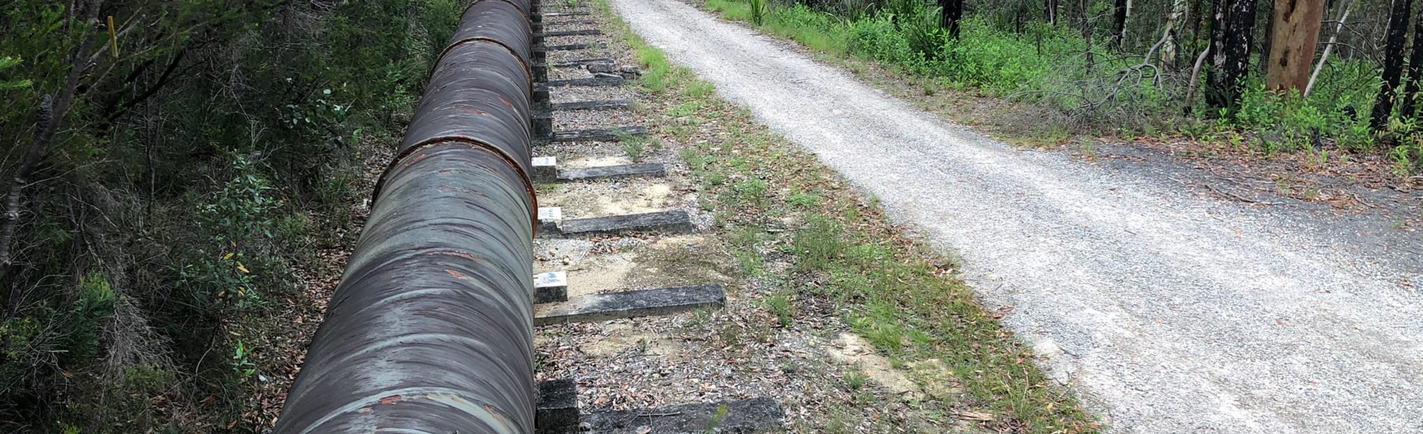 Pipeline Trail: 32 Reviews, Map - New South Wales, Australia | AllTrails