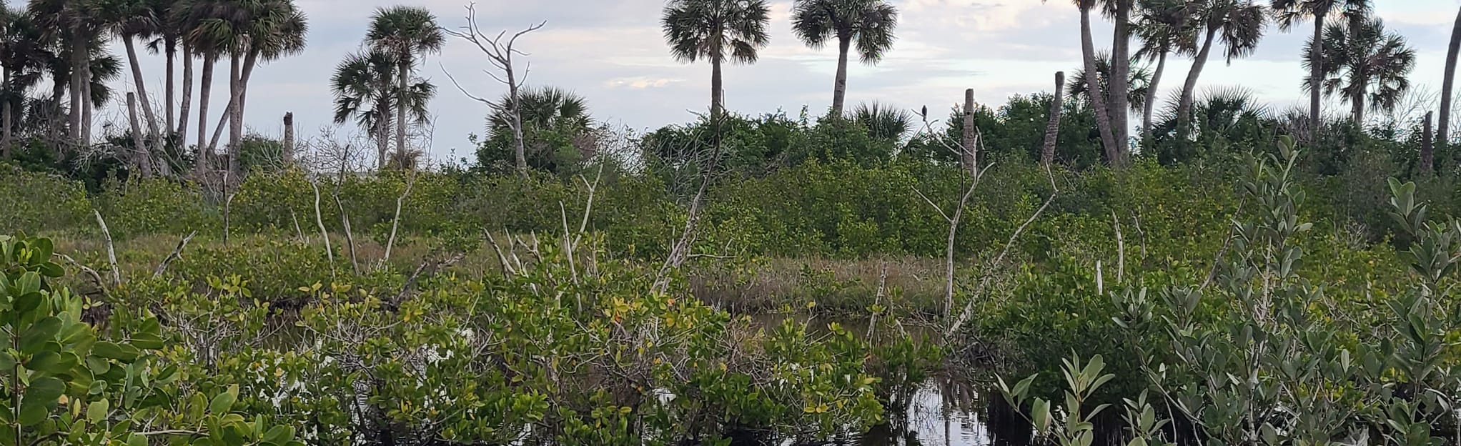 Bio Lab Road - Florida | AllTrails