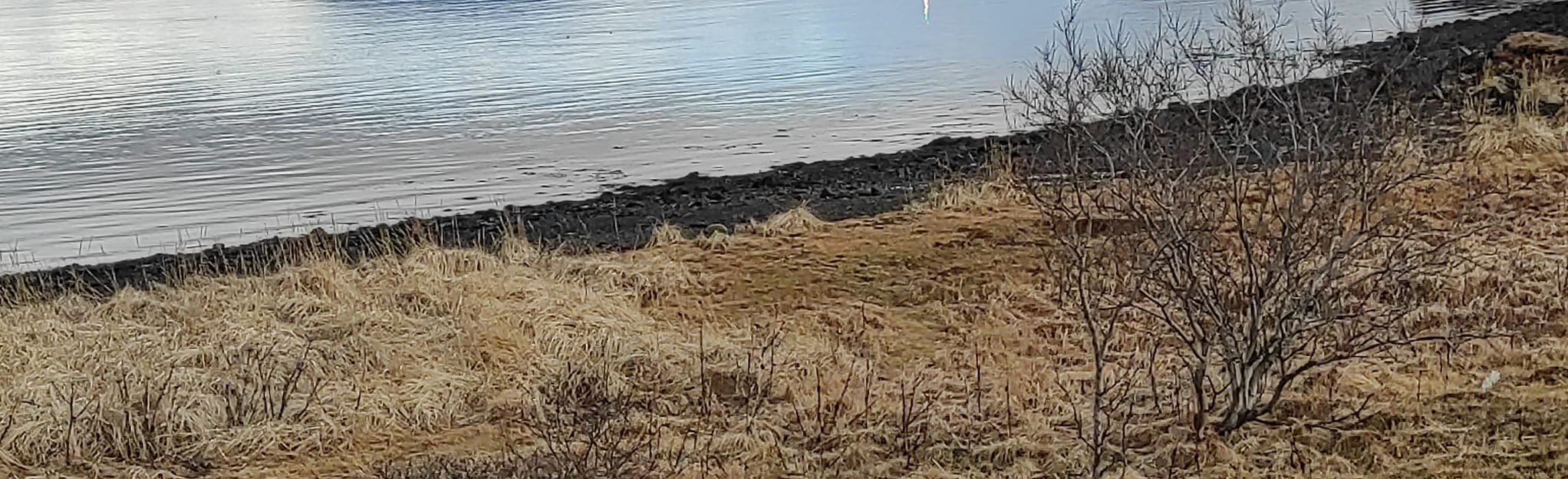 AllTrails | Gljúfrasteinn - Mosfellsbær - Grafarvogur: 0 Reviews, Map ...