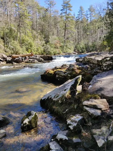 Best Camping Trails in Sumter National Forest | AllTrails