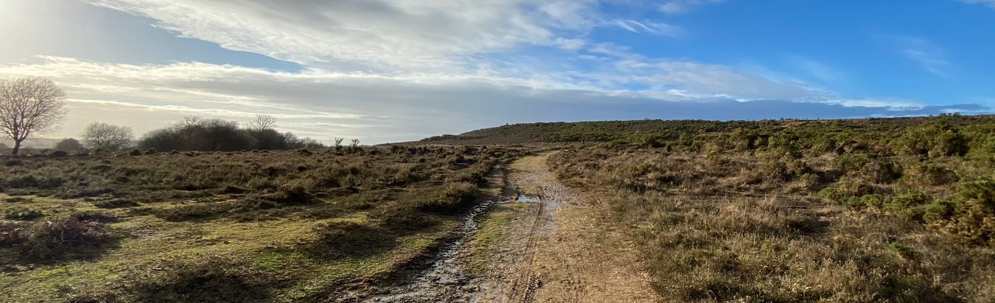 Fritham Circular: 402 Reviews, Map - Hampshire, England | AllTrails