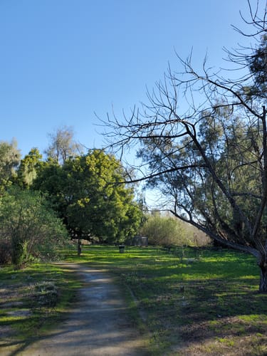 Best Hikes and Trails in Tijuana River Valley Regional Park | AllTrails