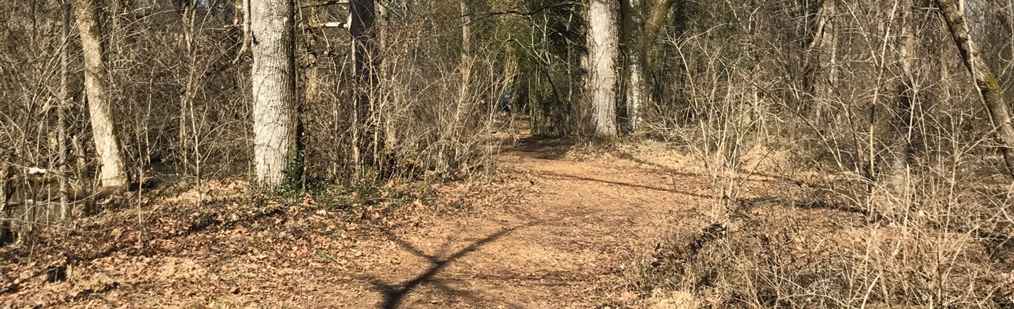 Jarvis Park Loop | Map, Guide - Tennessee | AllTrails