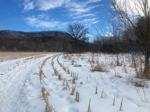 Best River Trails in Kickapoo Valley Reserve | AllTrails