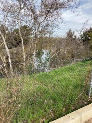 Best Hikes and Trails in Riverbottom Park | AllTrails