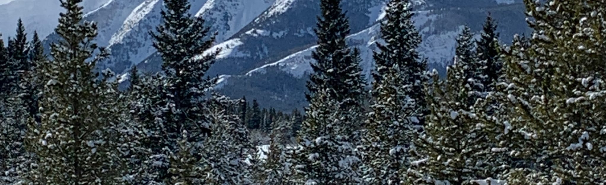 Chinook Loop: 11 Reviews, Map - Alberta, Canada | AllTrails