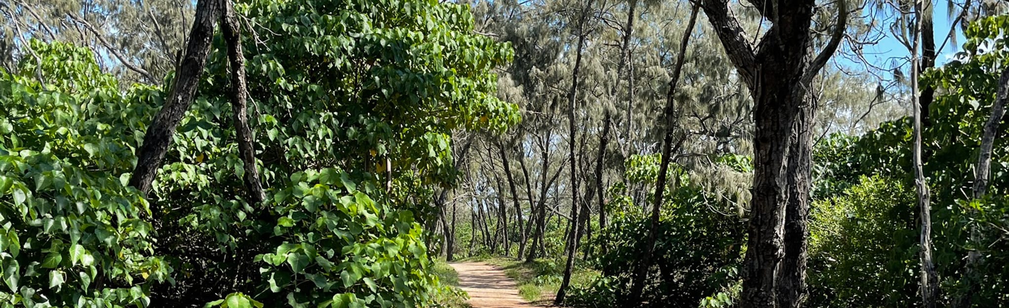 Mitchell Park to Federation Walk Coastal Reserve: 35 Reviews, Map ...