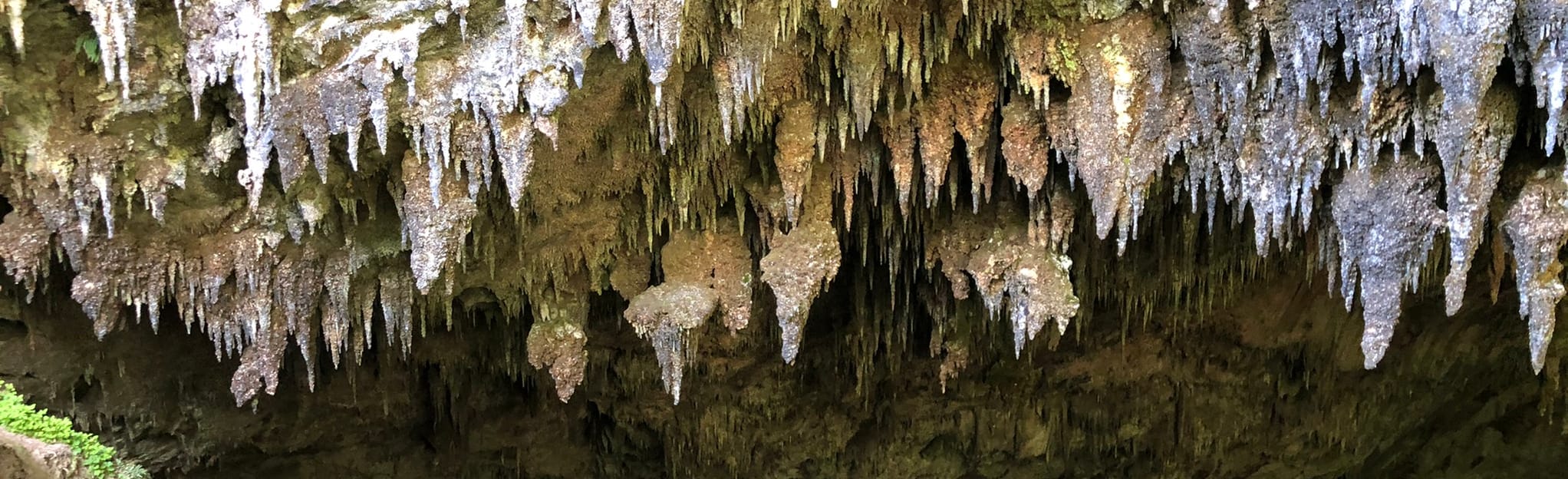 Rawhiti Cave Track - Nelson-Tasman, New Zealand | AllTrails