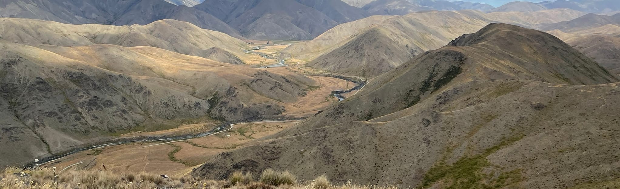 Pudding Hill Track, Canterbury, New Zealand - 3 Reviews, Map | AllTrails