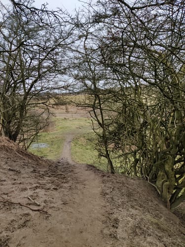 2023 Best City Walk Trails in Hjørring | AllTrails