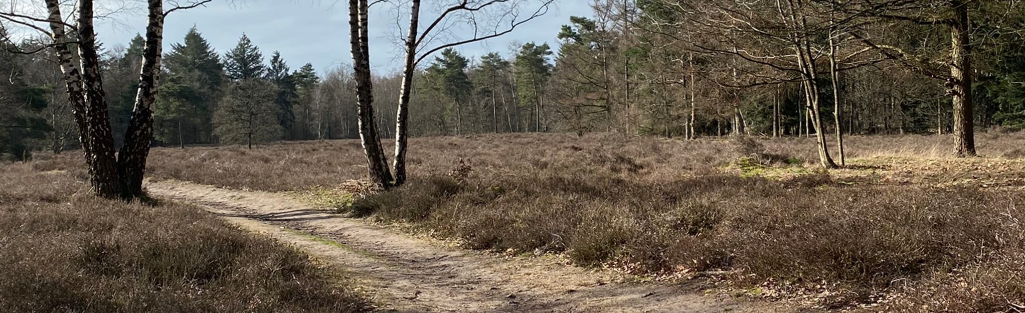 Noordbargerbos North Yellow Trail: 9 Reviews, Map - Drenthe ...