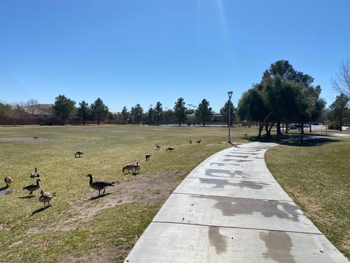 Best Hikes and Trails in Aliante Nature Discovery Park | AllTrails