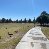 Aliante Nature Discovery Park, Nevada - 217 Reviews, Map | AllTrails