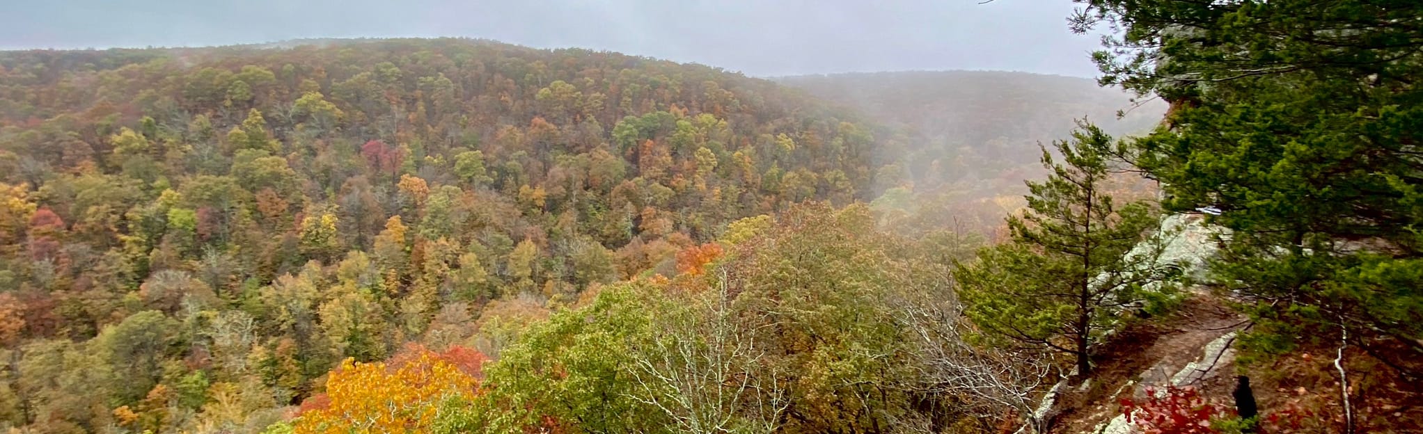 Whitaker Point Trail (Hawksbill Crag): 3212 Reviews, Map - Arkansas ...