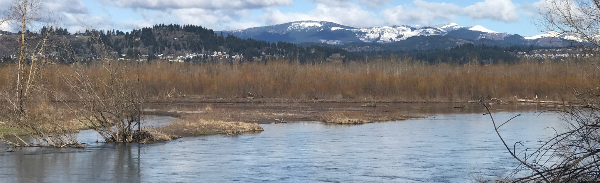 Confluence Trail: 162 Reviews, Map - Oregon | AllTrails