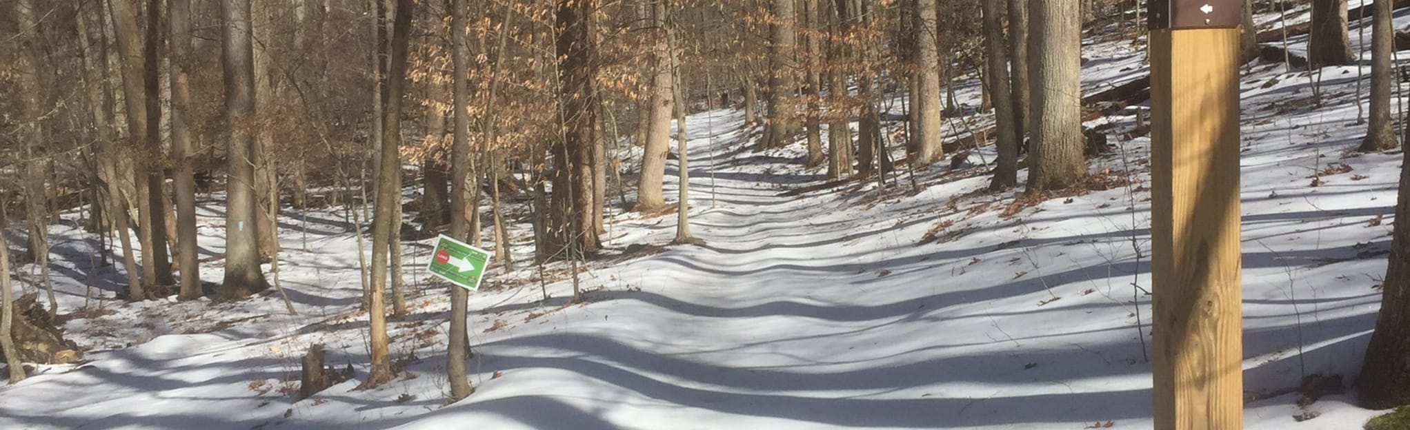 Black Hill, Hamilton, Cabin Branch Trail Loop: 85 Reviews, Map ...