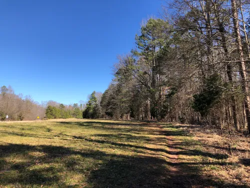 10 Best Hikes and Trails in Anne Springs Close Greenway | AllTrails