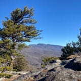 Little Lost Cove Cliffs, North Carolina - 147 Reviews, Map | AllTrails