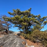 Little Lost Cove Cliffs, North Carolina - 147 Reviews, Map | AllTrails