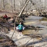 Chaptico Park Nature Trail, Maryland - 69 Reviews, Map | AllTrails