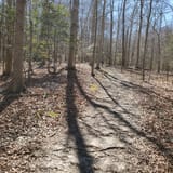 Chaptico Park Nature Trail, Maryland - 69 Reviews, Map | AllTrails