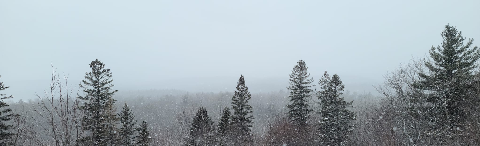 Leaf Lake - Pinetree Lake - Thistle Lake Loop | Map, Guide - Ontario ...