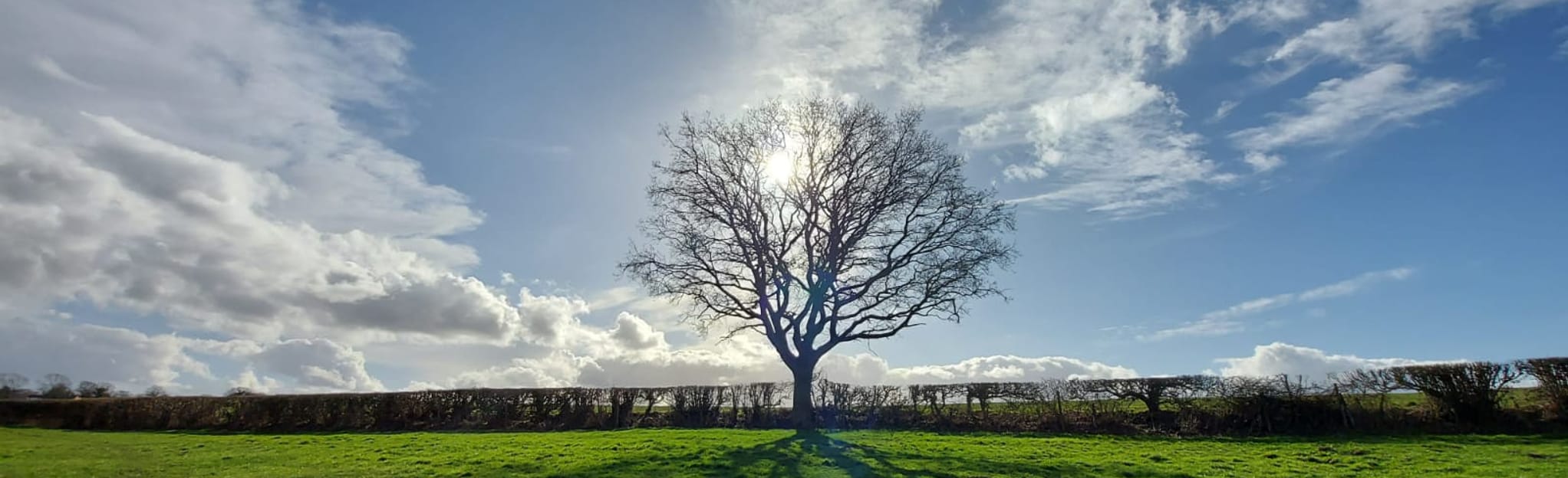 Woodgate Valley Country Park Circular, West Midlands, England - 151 ...