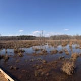 Lake Conestee Nature Trail and Swamp Rabbit Trail, South Carolina - 305 ...